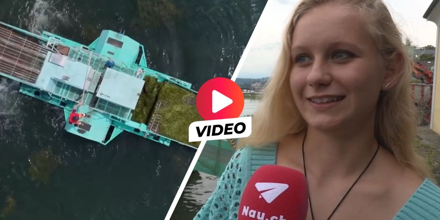 BYD startet in der Schweiz: Elektro-Offensive mit Kampfpreisen | Nau.ch