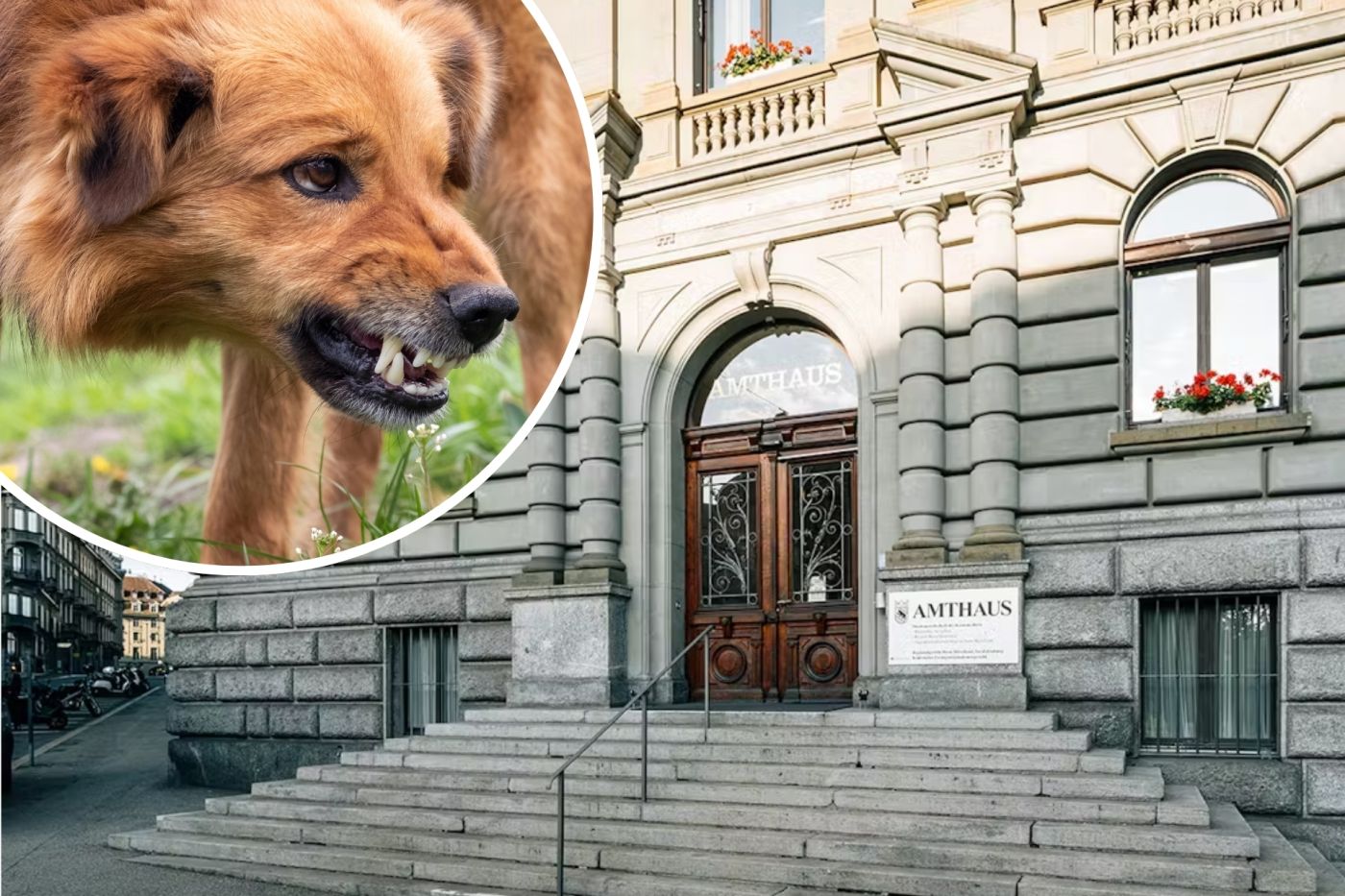 Manor gibt Standorte ab – so geht es in Bern weiter | Nau.ch