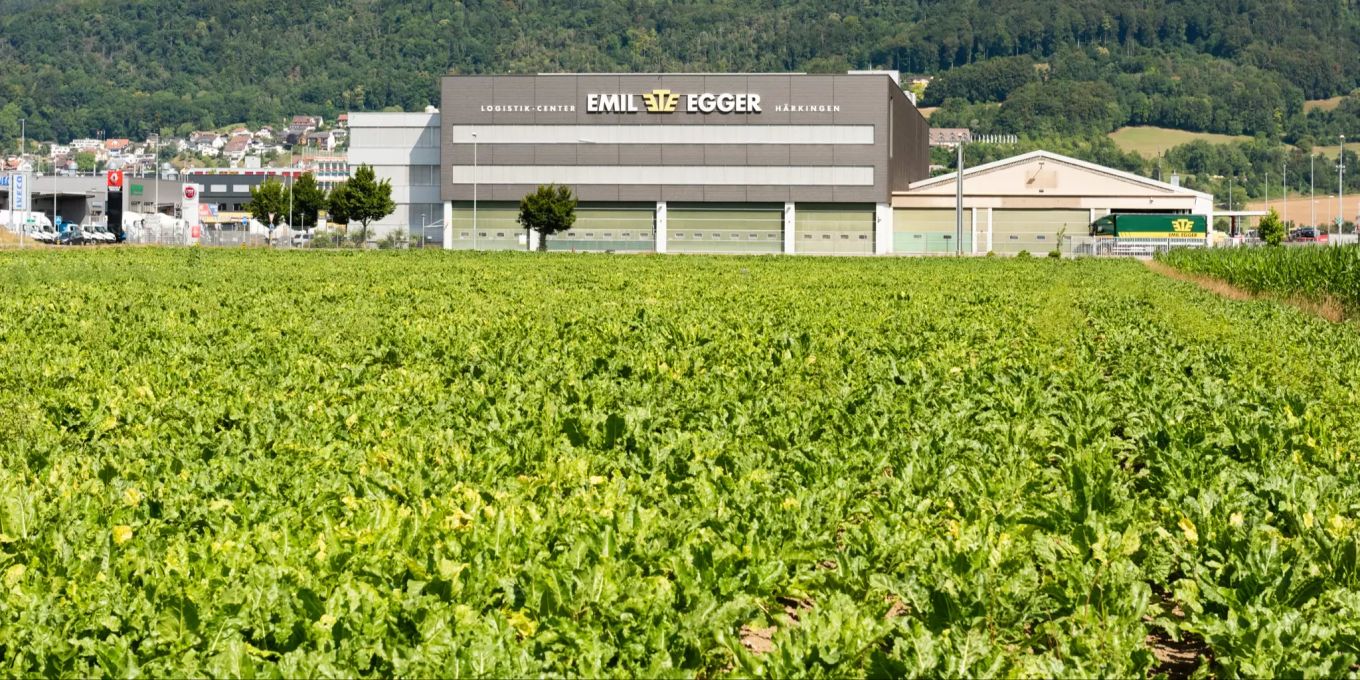 Neujahrs-Apéro 2023 in Härkingen findet statt | Nau.ch