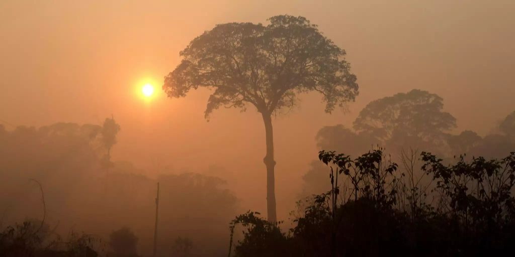 Brände im Amazonas-Gebiet wirken sich auf Gesundheit aus