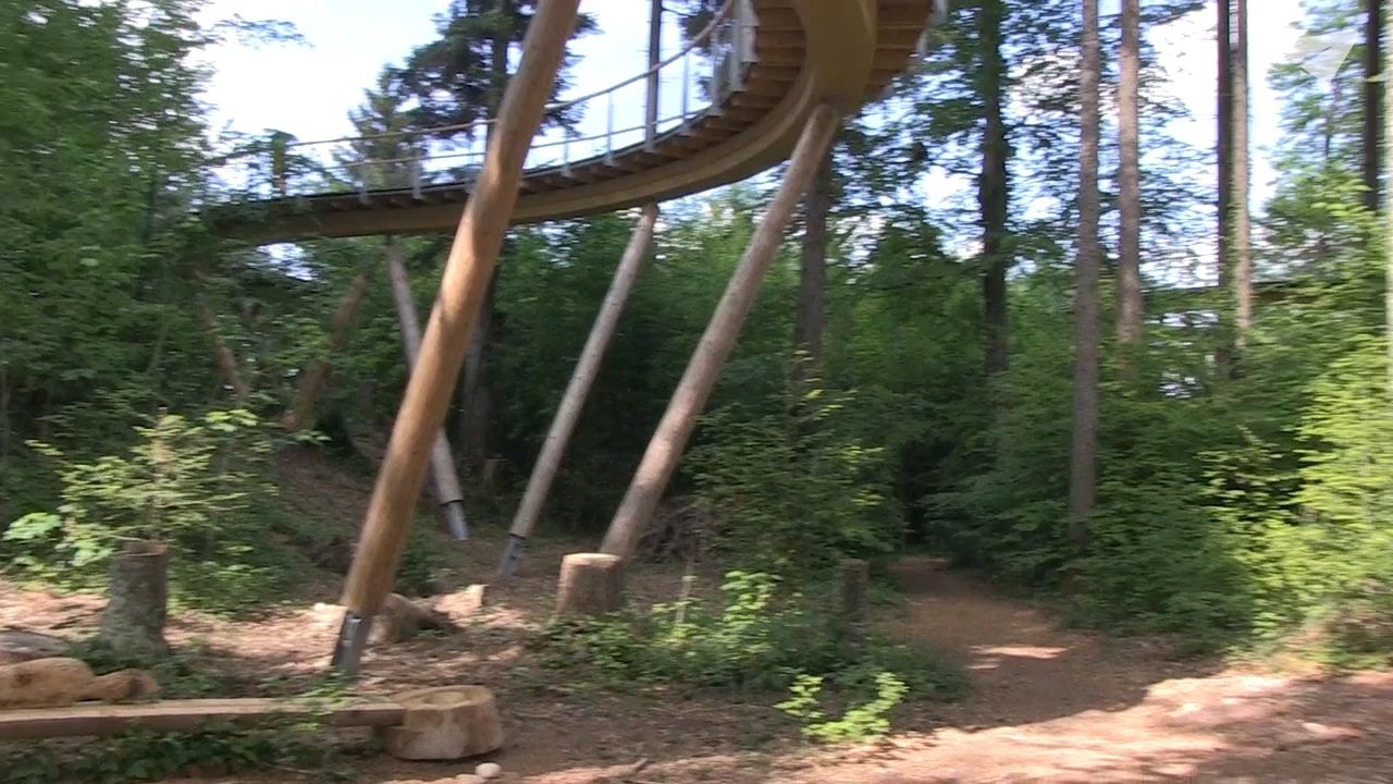 Mogelsberg: Erster Baumwipfelpfad der Schweiz eröffnet