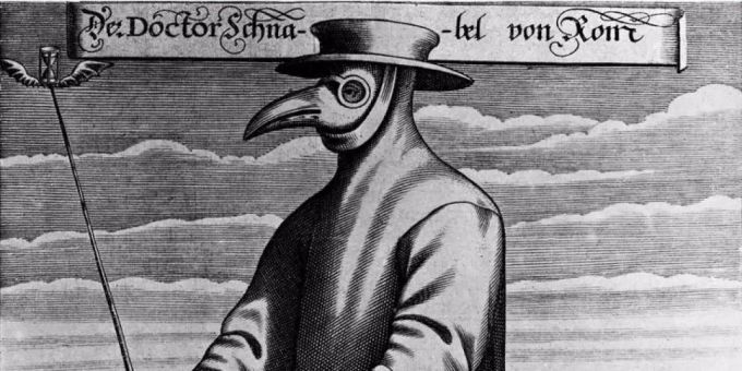 Büsi steckt Person in den USA mit der Pest an | Nau.ch