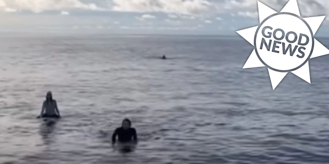 Australische Surfer nach 36 Stunden im Ozean gerettet | Nau.ch