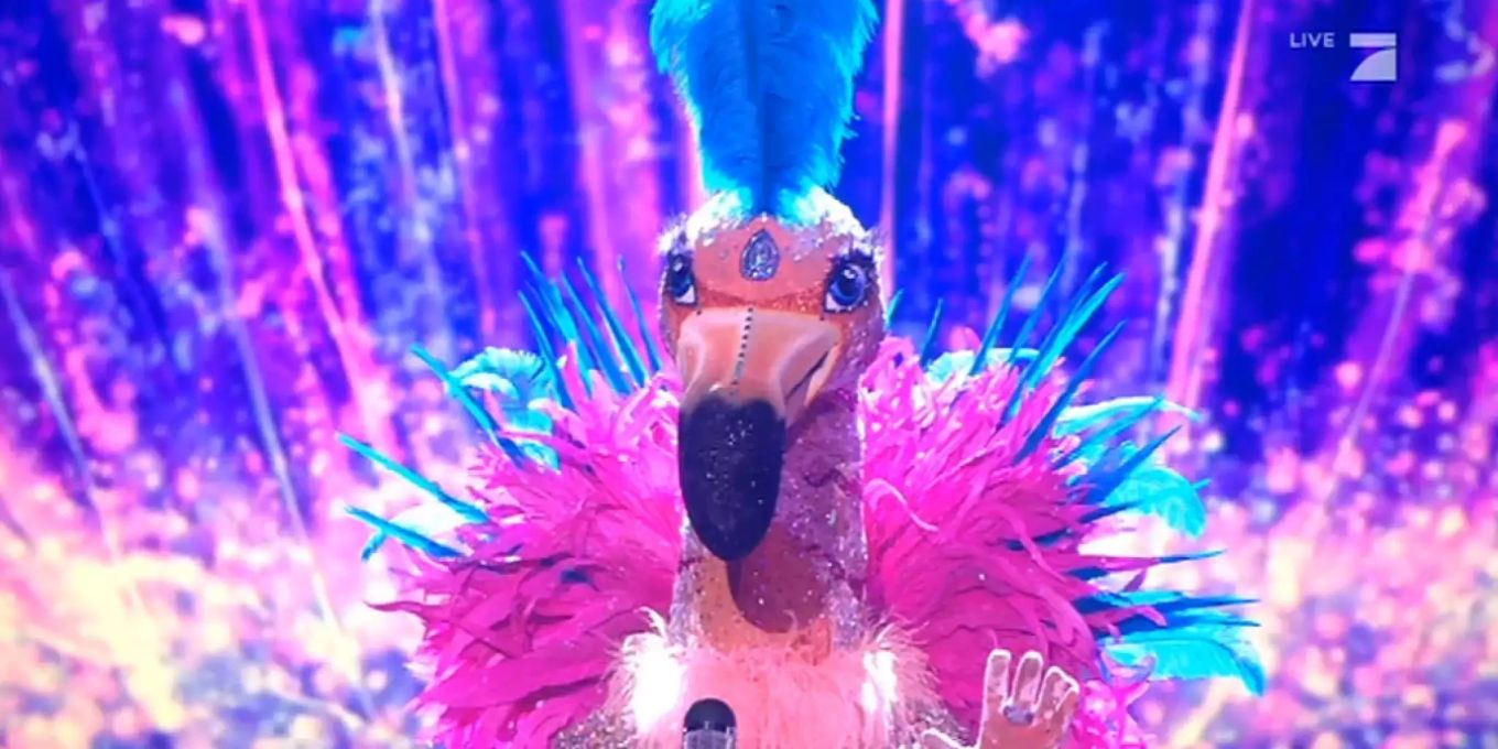 «The Masked Singer»: Keine Frage, er ist der Flamingo | Nau.ch