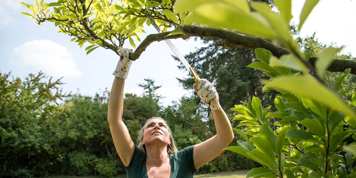 Garten: Diese Geräte helfen bei der Arbeit im Beet (1) | Nau.ch