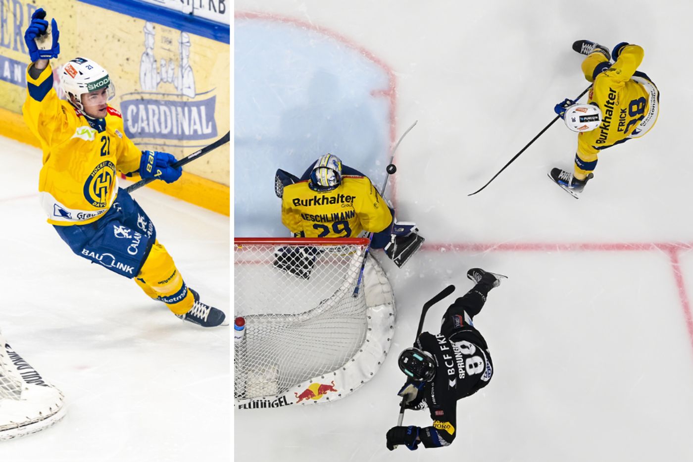 HC Davos: Alle News und Resultate