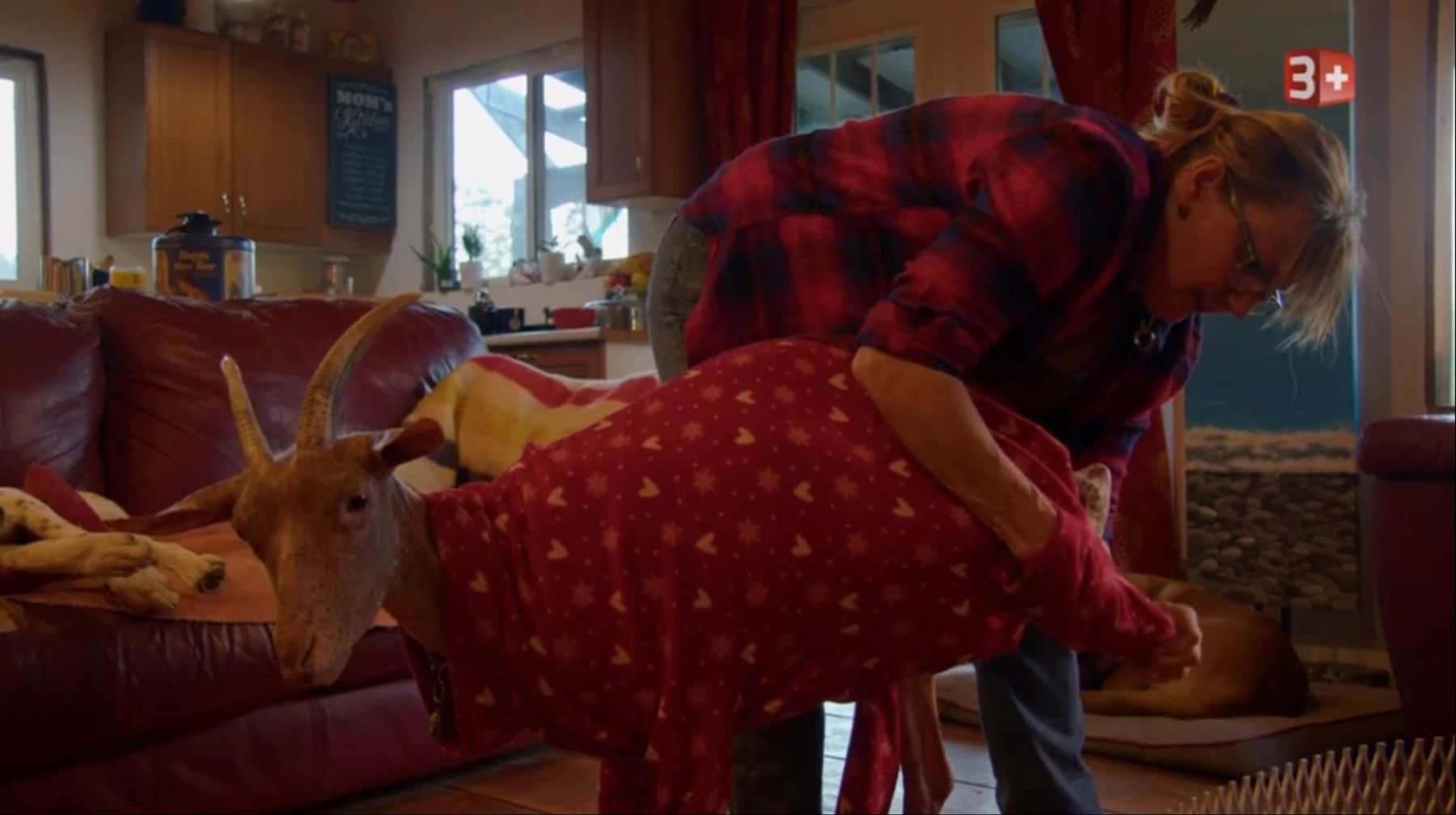 «Bauer, ledig, sucht» 2024: Das sind die Kandidaten! | Nau.ch