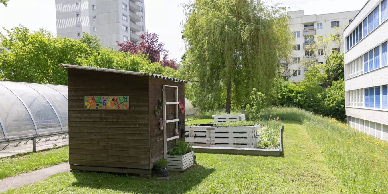 Zäh­lera­ble­sun­gen finden in Obersiggenthal statt | Nau.ch