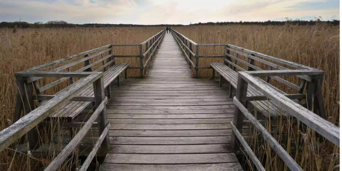 Die Moorlandschaft Glaubenberg hat eine neue Webseite | Nau.ch