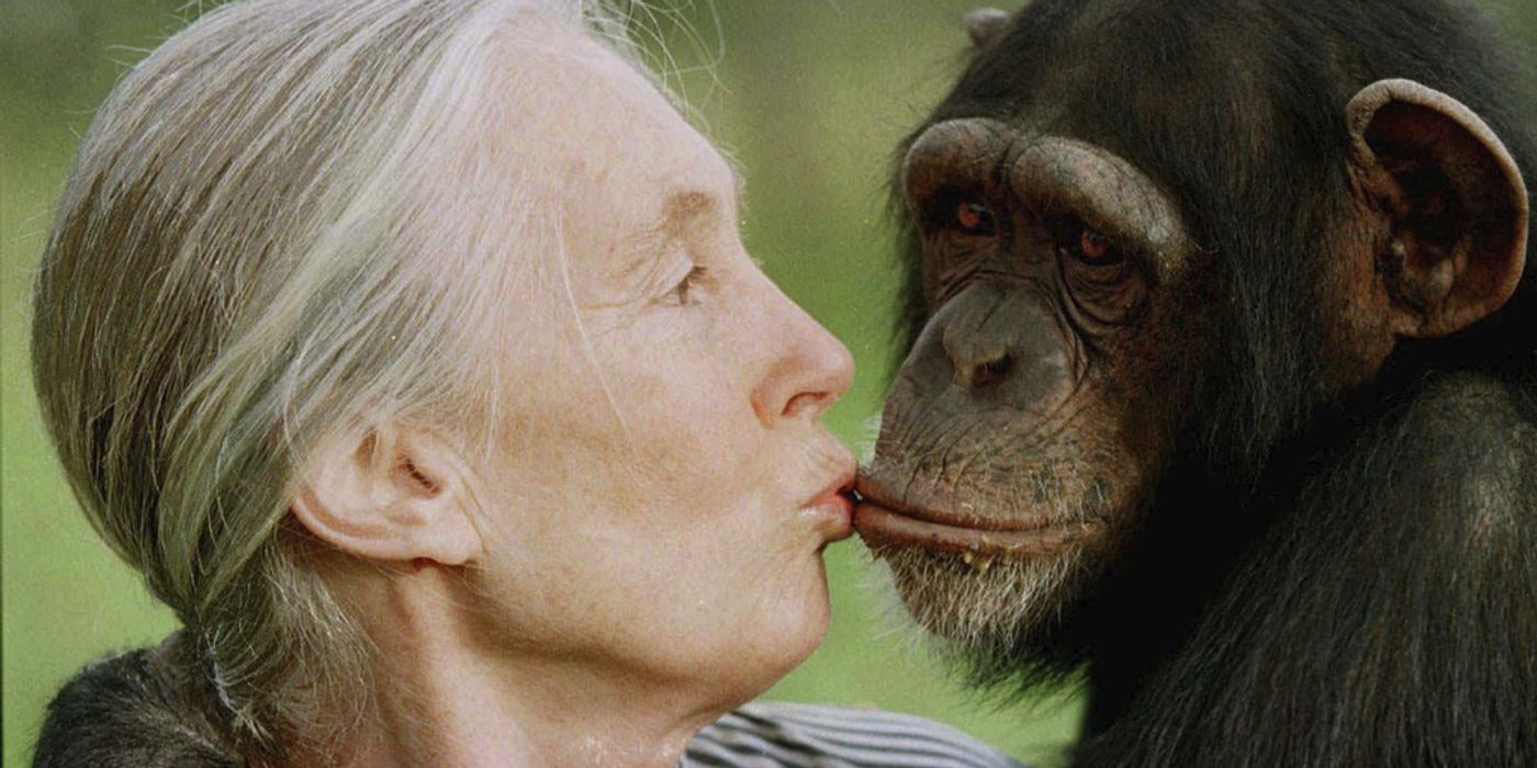 «Nicht mehr lange zu leben»: Darum wollte William Shatner eine Doku ...