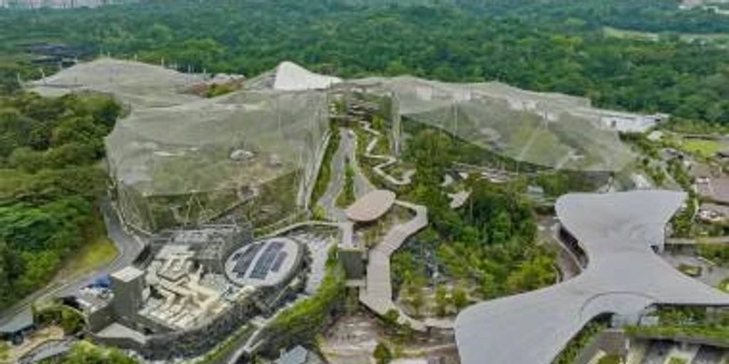 Neues «Bird Paradise» in Singapur: Umzugsaktion für Tausende Vögel