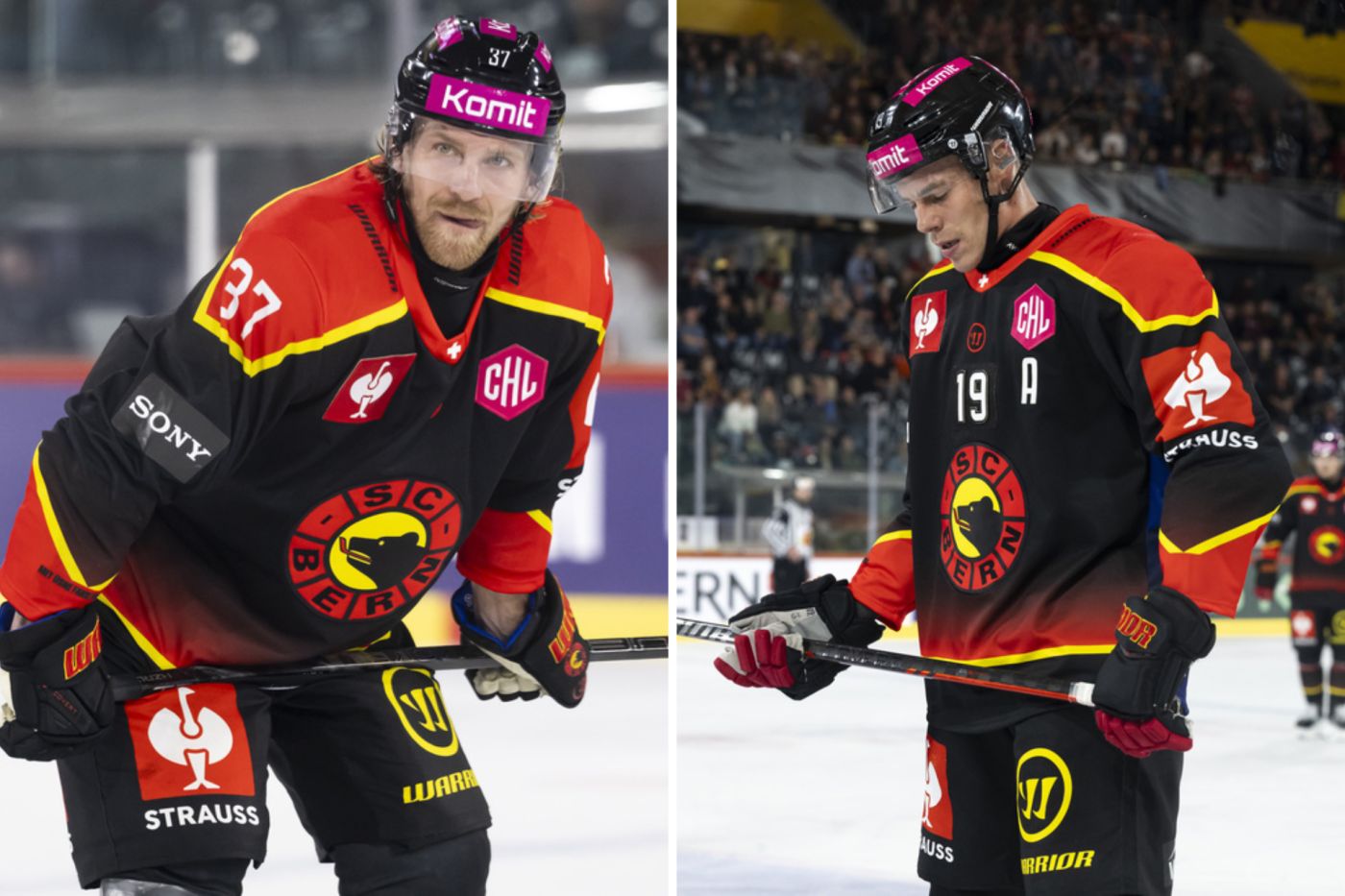 SC Bern feiert dritten Sieg im dritten Testspiel | Nau.ch