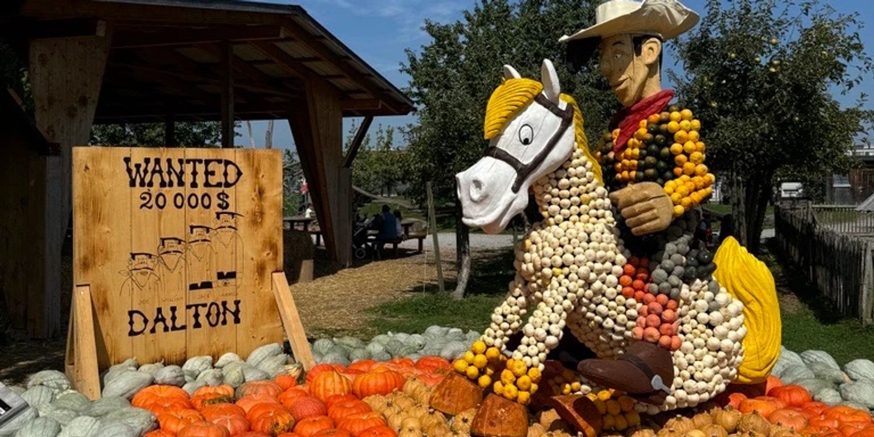 Eintritt! Jucker-Farm-Fans wechseln auf Gratis-Kürbis-Hof | Nau.ch