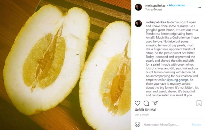 Monster-Zitrone in australischem Garten gewachsen | Nau.ch