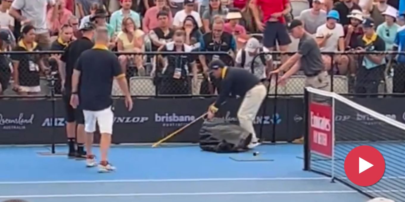 Dominic Thiem: Spielunterbruch wegen Giftschlange auf Tennis-Platz | Nau.ch