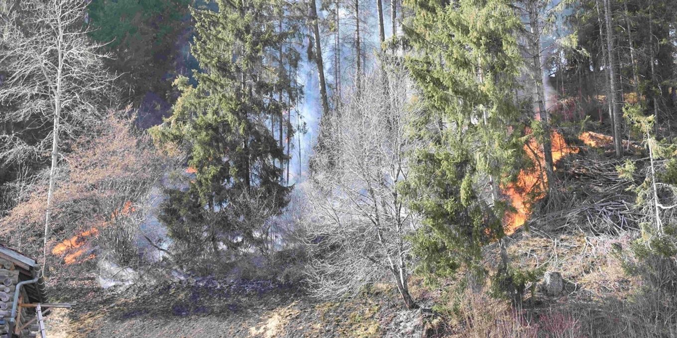 Trin GR: Waldbrand rasch gelöscht | Nau.ch