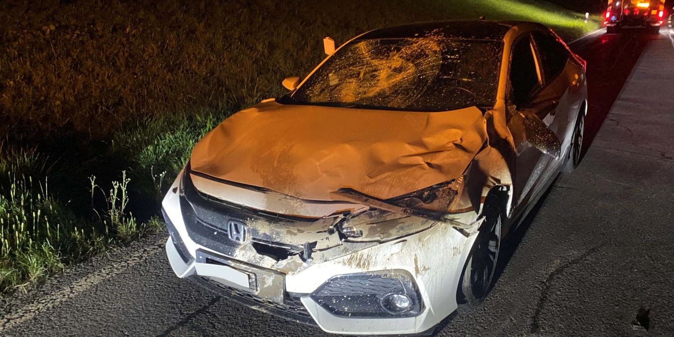 Unfall in Neuheim ZG: Totalschaden nach Kollision mit Hirsch | Nau.ch