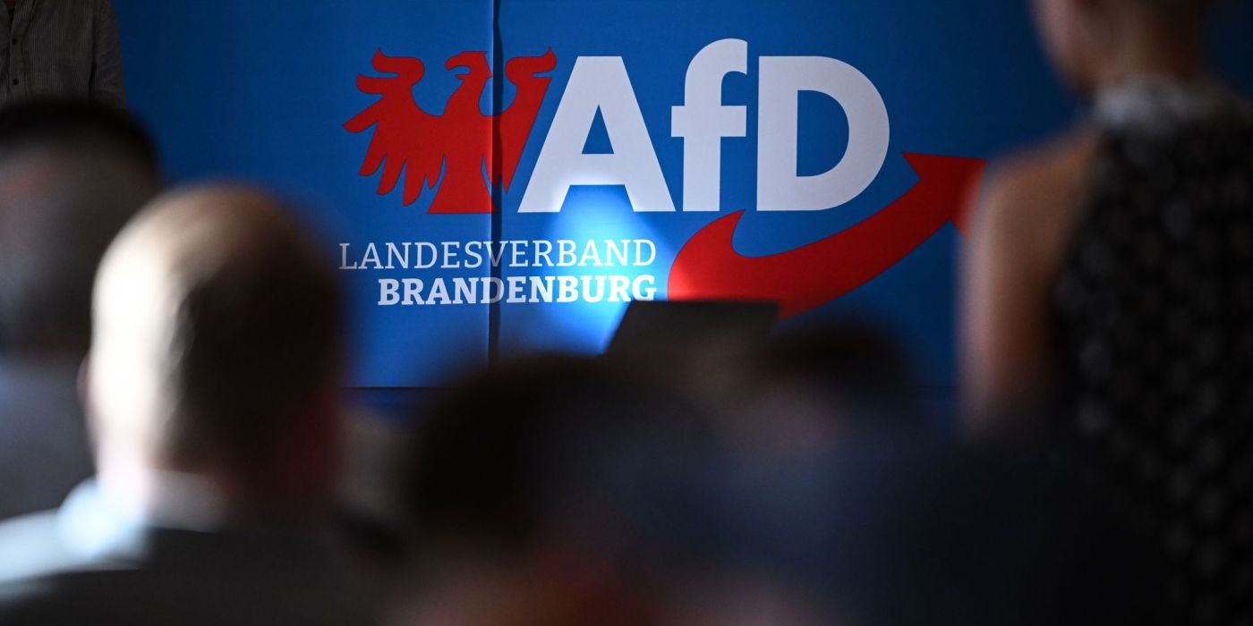 AfD: News und Analysen