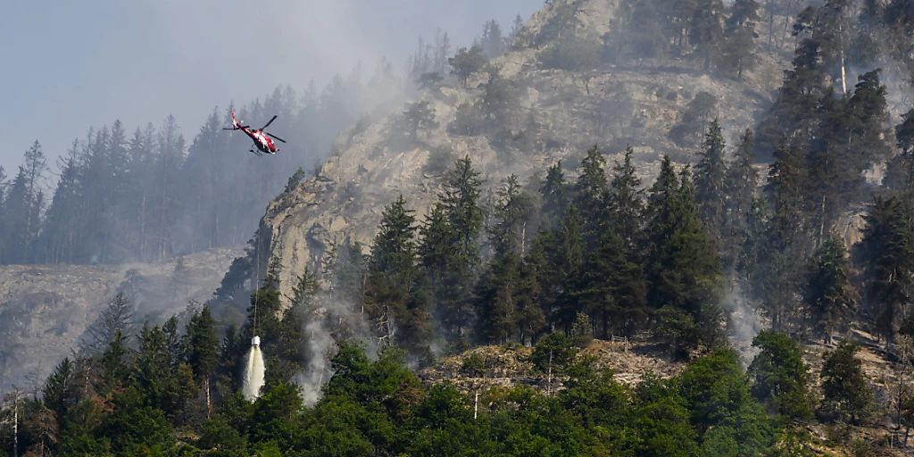 Experten: Wald in Bitsch erst in 100 bis 200 Jahren regeneriert