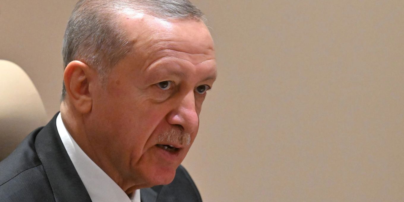 Erdogan legt Parlament Nato-Beitritt Schwedens zur Ratifizierung vor ...