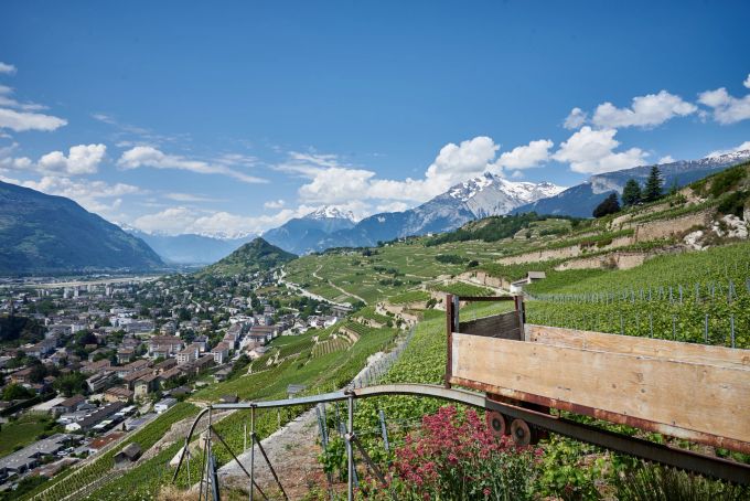 Swiss Wine Summer: Erkunden Sie jetzt die Weinregionen der Schweiz | Nau.ch