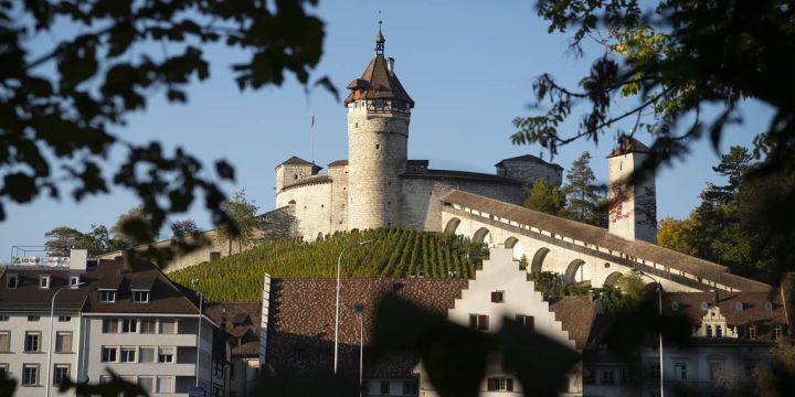 So viel Geld kann Brian mit Boxen wirklich verdienen | Nau.ch