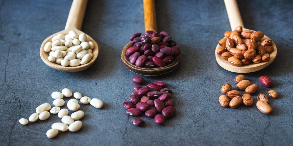 Kidneybohnen: Besser Getrocknet oder aus der Dose?