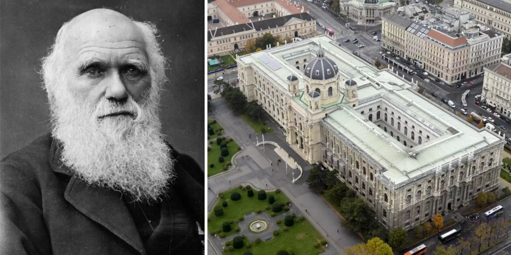 Evolutionstheorie von Charles Darwin im Naturhistorischen Museum