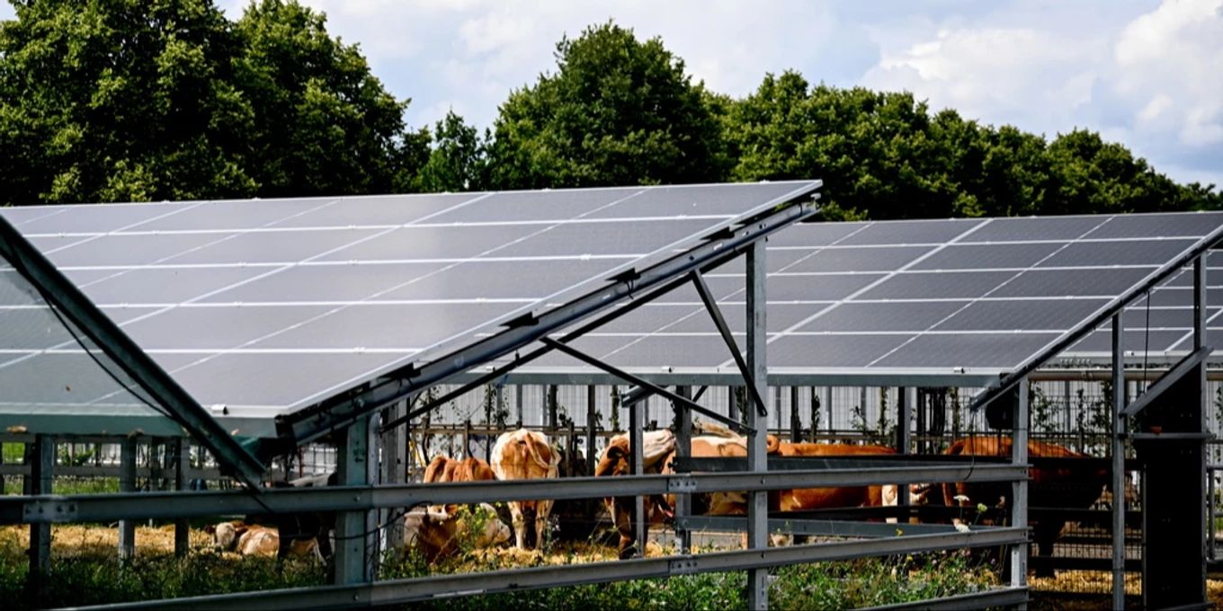 Deutsches Kabinett beschliesst Erleichterungen für Solaranlagen | Nau.ch