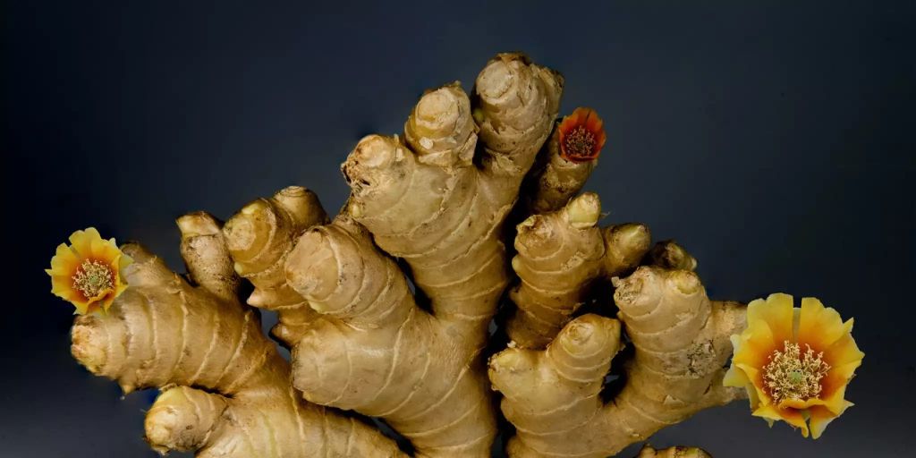 Das körperliche Wohlbefinden mit Ingweröl unterstützen