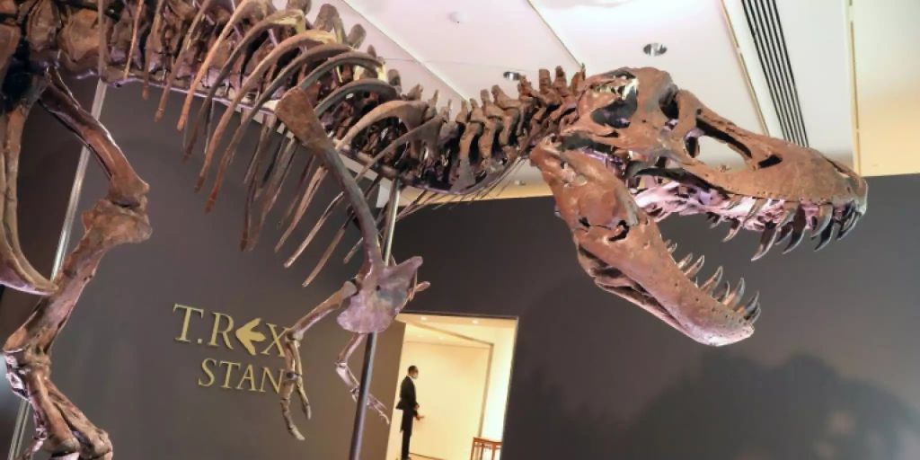 T-Rex «Stan» für Rekordpreis von 31,8 Millionen Dollar versteigert