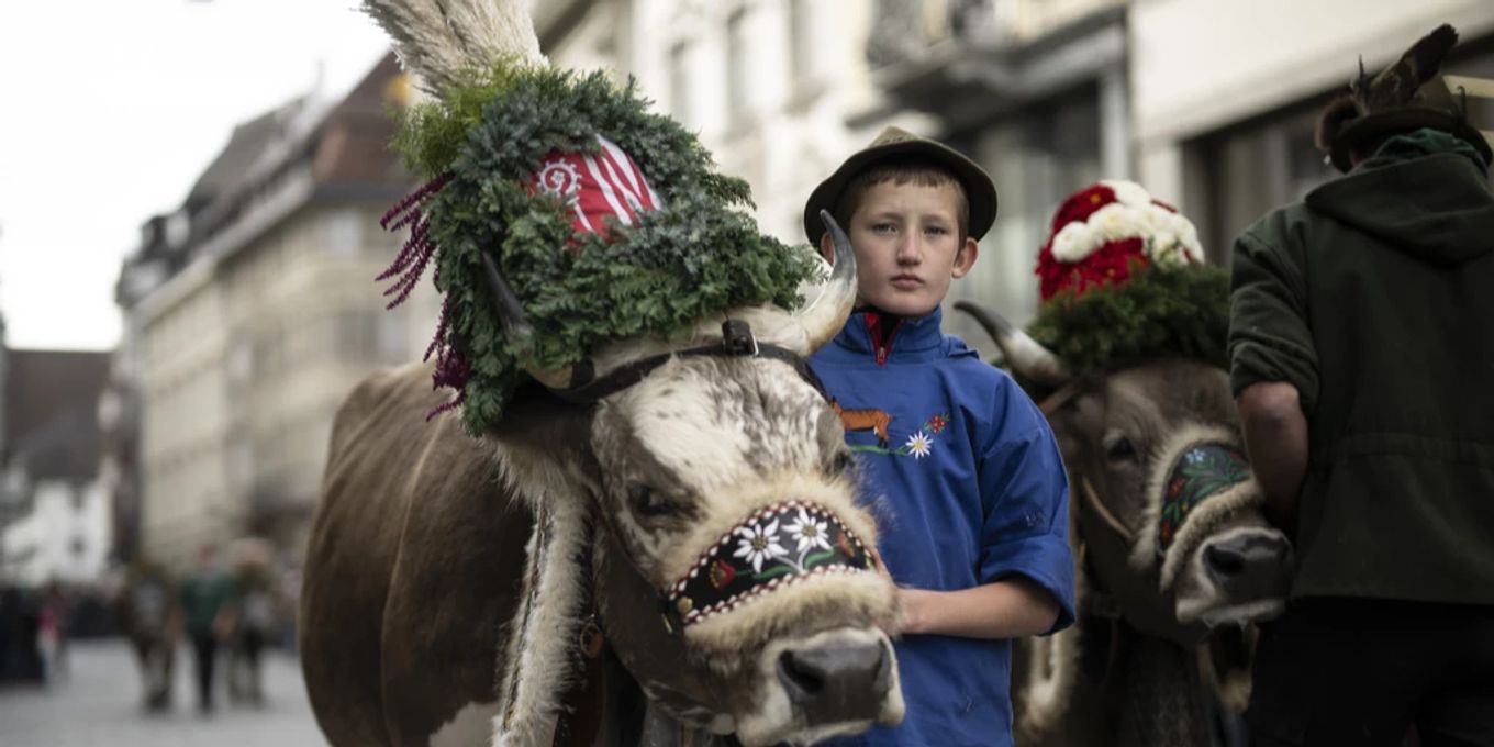 40'000 Menschen feiern bei strahlendem Sonnenschein die Olma | Nau.ch