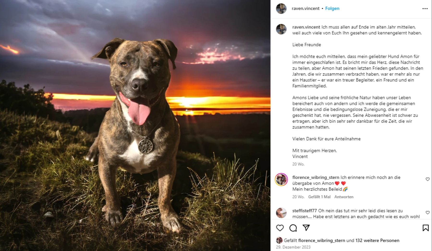 Vincent Raven: So nennt er seinen neuen Hund! | Nau.ch