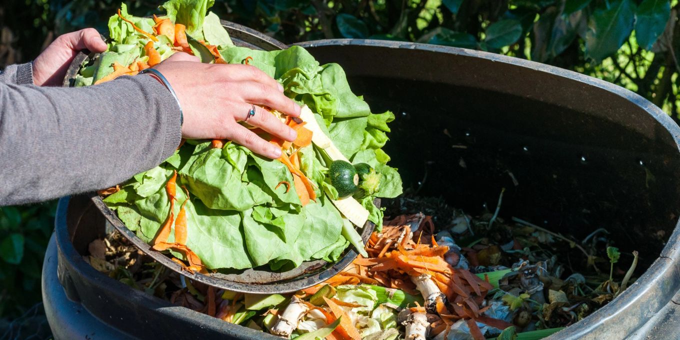 4 einfache Tipps, wie du Food Waste vermeiden kannst | Nau.ch