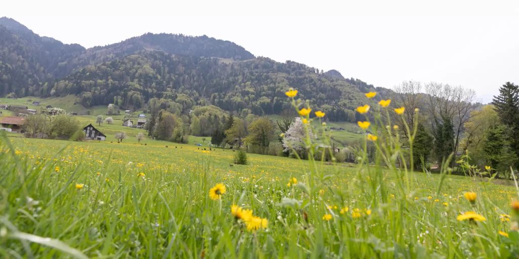 Reichenburg gratuliert Wangen zum Gewinn des Gemeindeduells