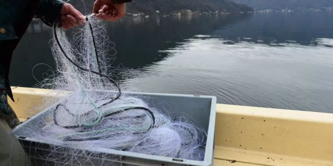 Pazifischer Ozean: 36 Tonnen alte Netze aus Meer gezogen | Nau.ch