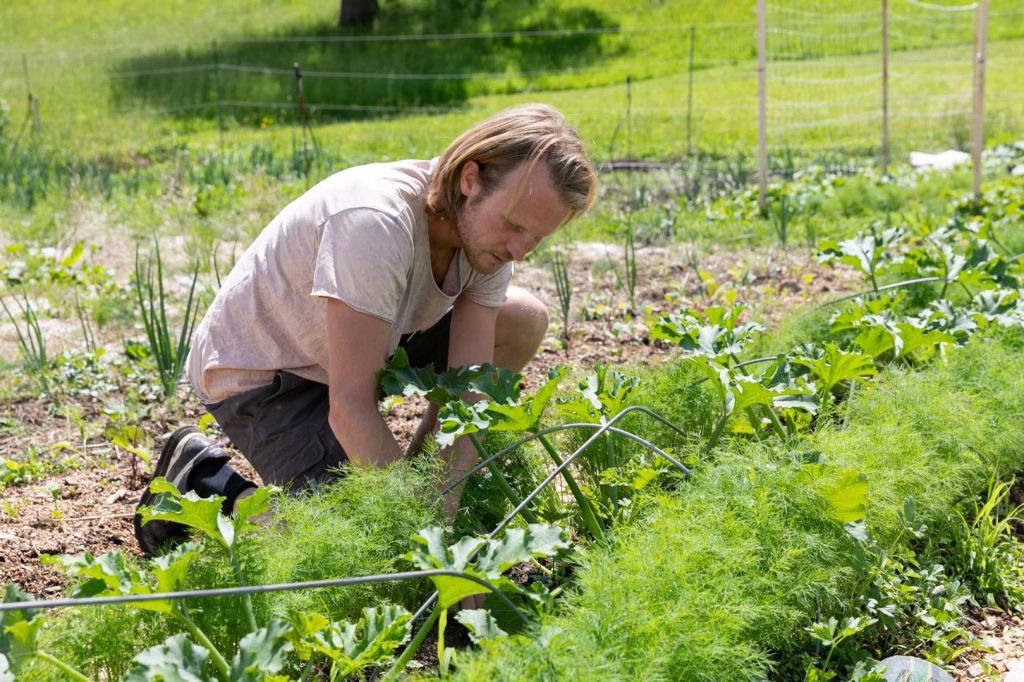 Mini-Farm: Solawi Halde