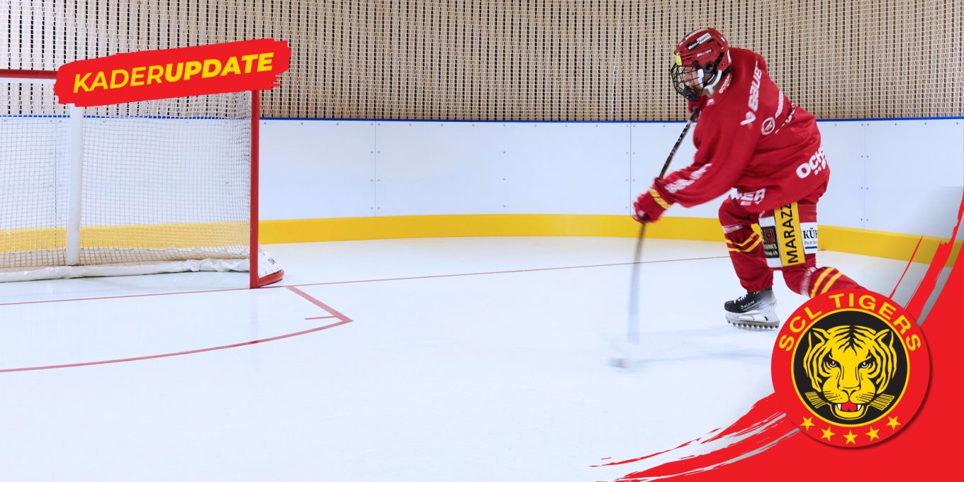 Stürmer Jonathan Dahlén stösst zu den SCL Tigers | Nau.ch