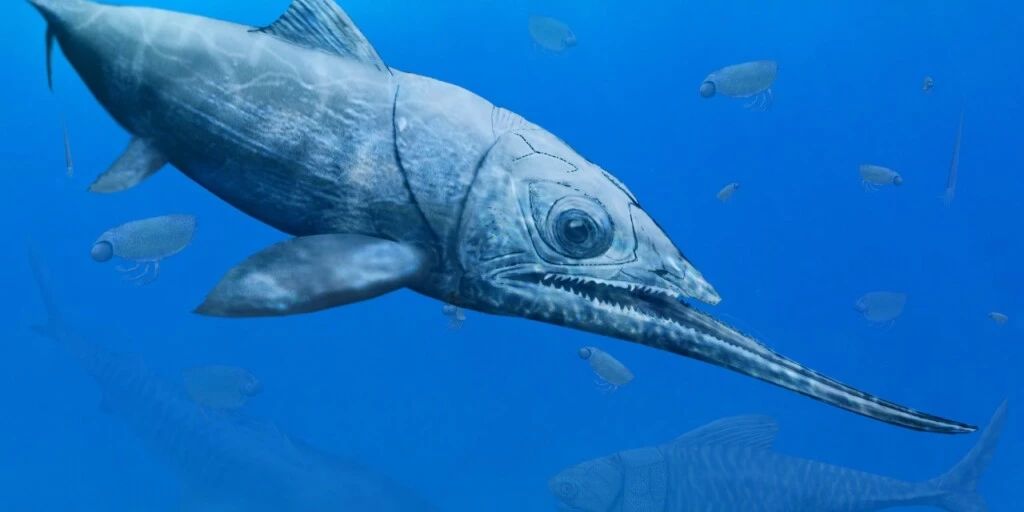 Zürcher Forscher beschreiben Fisch mit riesigem Unterkiefer