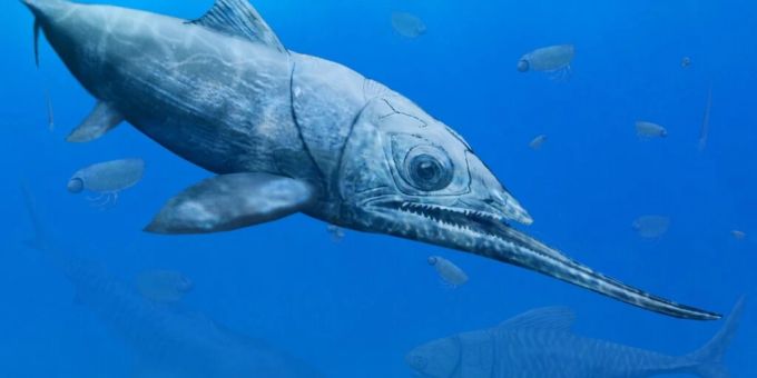 Zürcher Forscher beschreiben Fisch mit riesigem Unterkiefer | Nau.ch