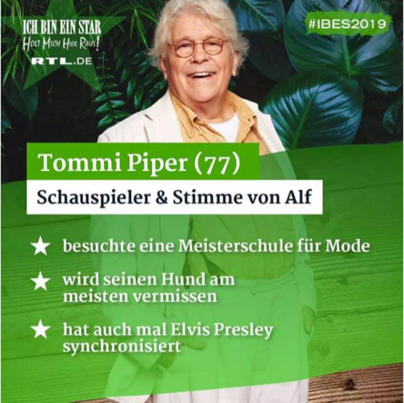 Dschungelcamp 2019 Kandidatenliste von RTL veröffentlicht | Nau.ch