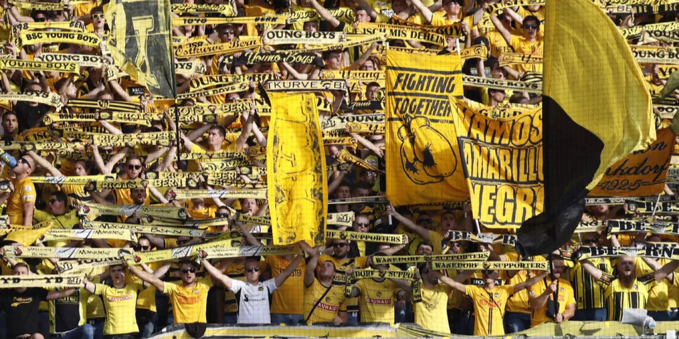 BSC Young Boys: Alle News und Resultate