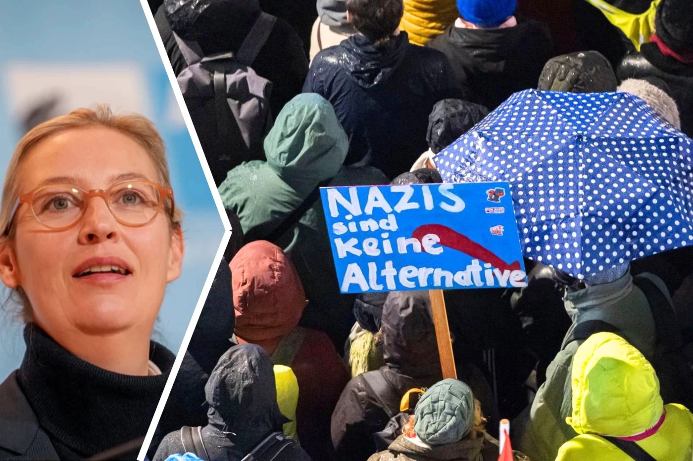 Sarah Bossard: Das ist die Partnerin von Alice Weidel | Nau.ch