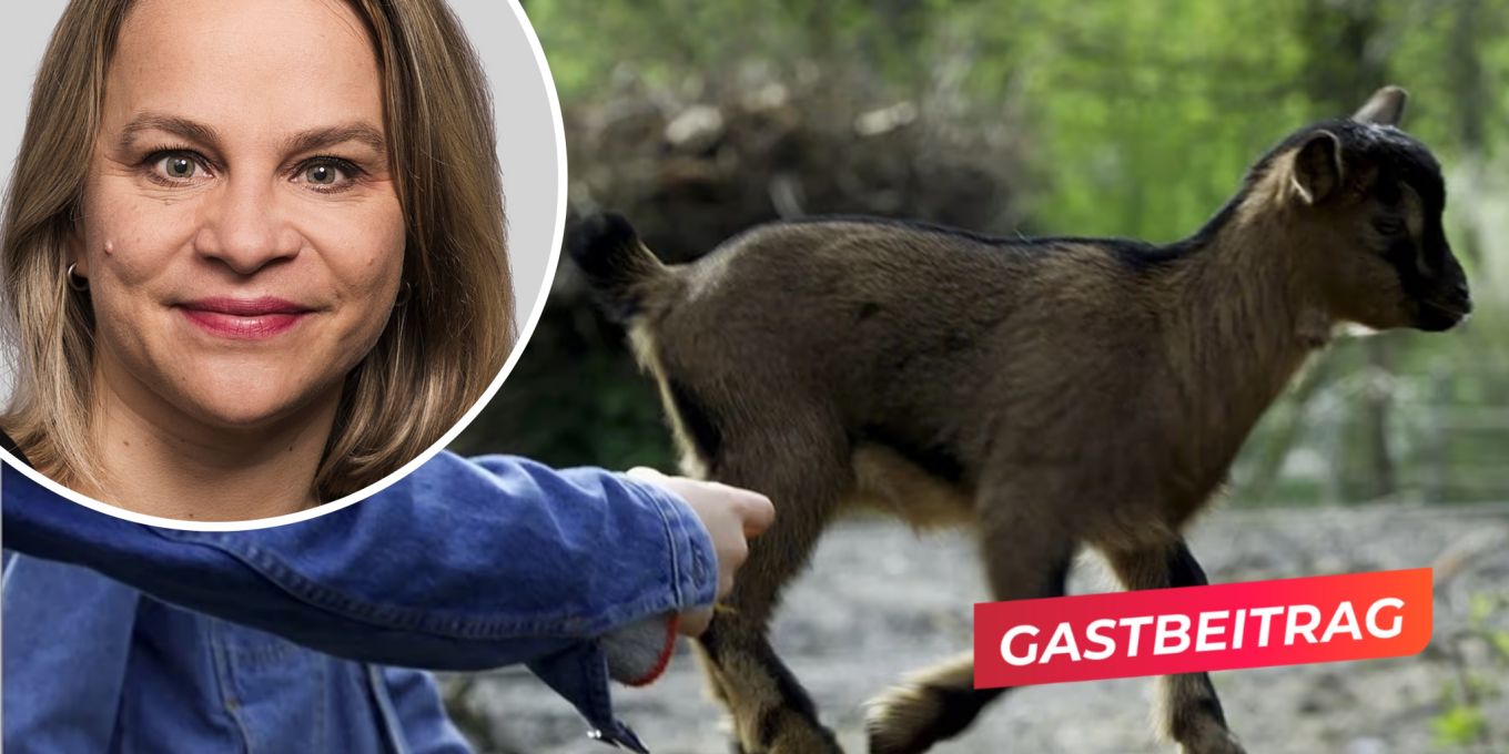 Judith Schenk (SP): Sieben Geisslein und eine Abstimmung | Nau.ch