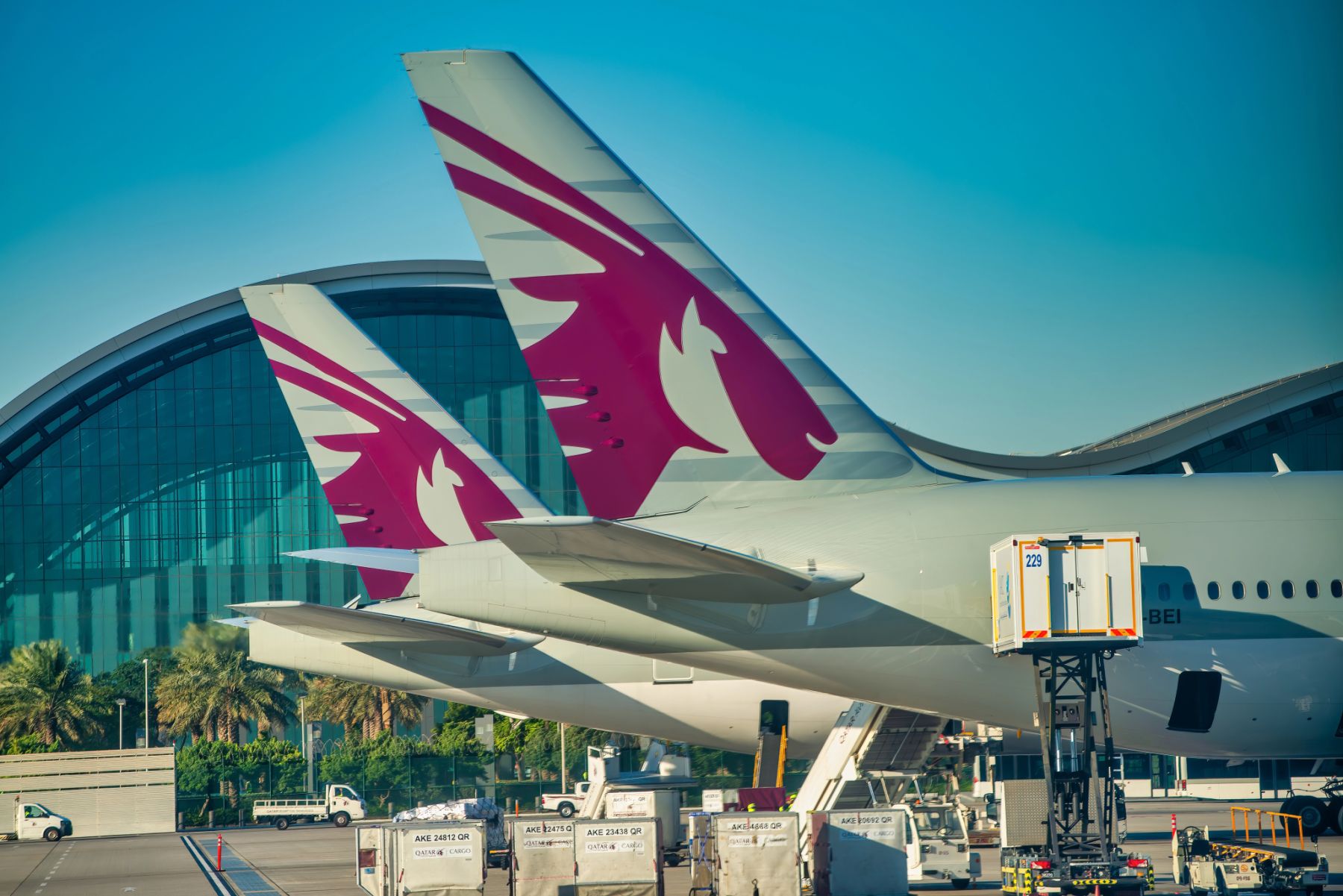 Qatar Airways: Was bringt das neue Avios-Abo «Privilege Club Pro»? | Nau.ch