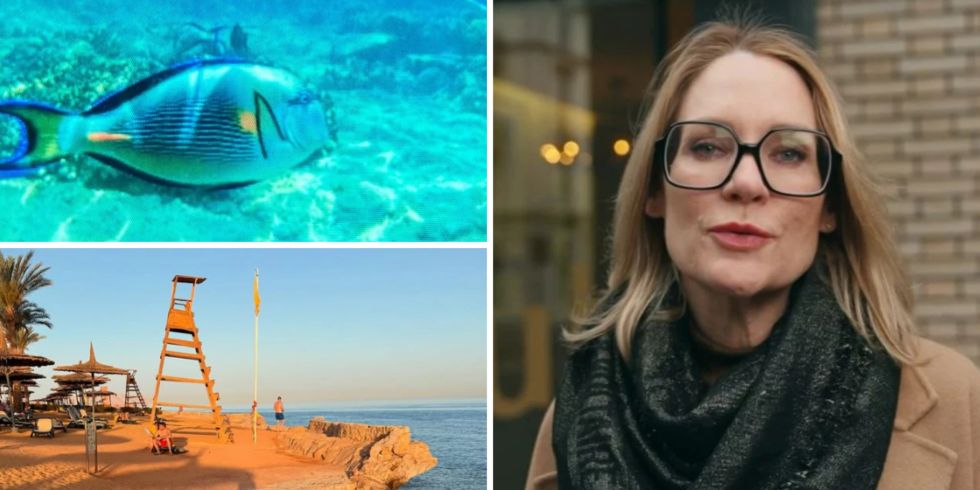 Eva Wannenmacher: Abschied vom «Kulturplatz» nach 21 Jahren | Nau.ch