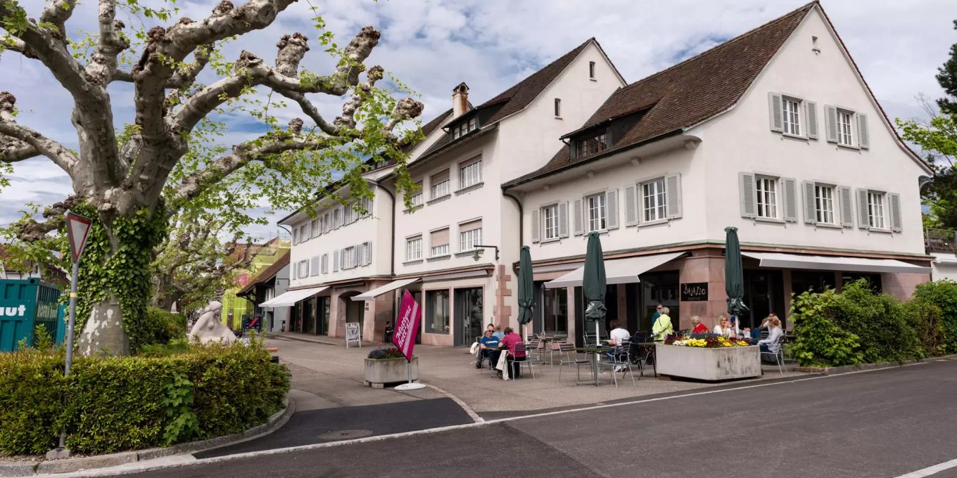 Gemeinde Muttenz setzt sich für wandernde Amphibien ein | Nau.ch