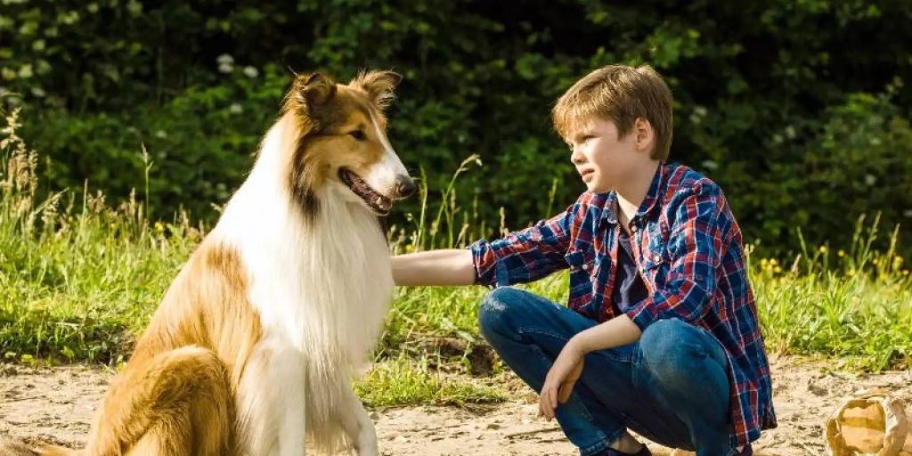 Neuer «Lassie»-Film - eine Deutschland-Odyssee