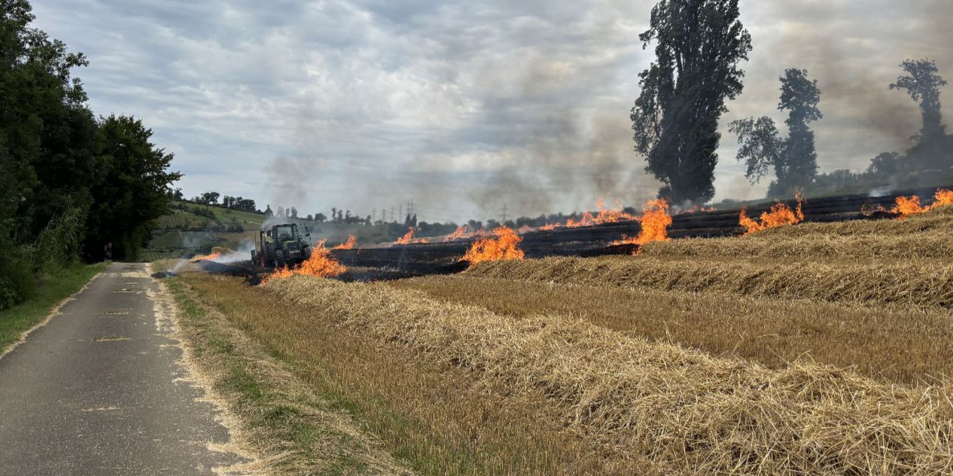 Muttenz BL: Brand an Ballenpresse führt zu Feuerwehreinsatz | Nau.ch