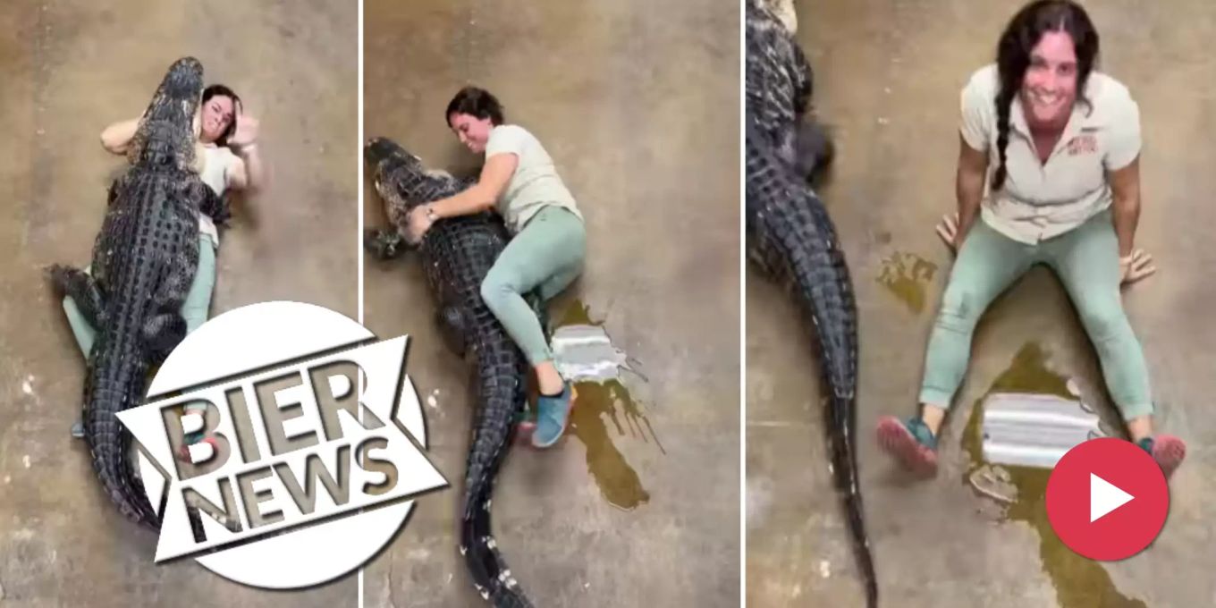Alligator passiert bei Umarmung mit Pflegerin ein Missgeschick | Nau.ch